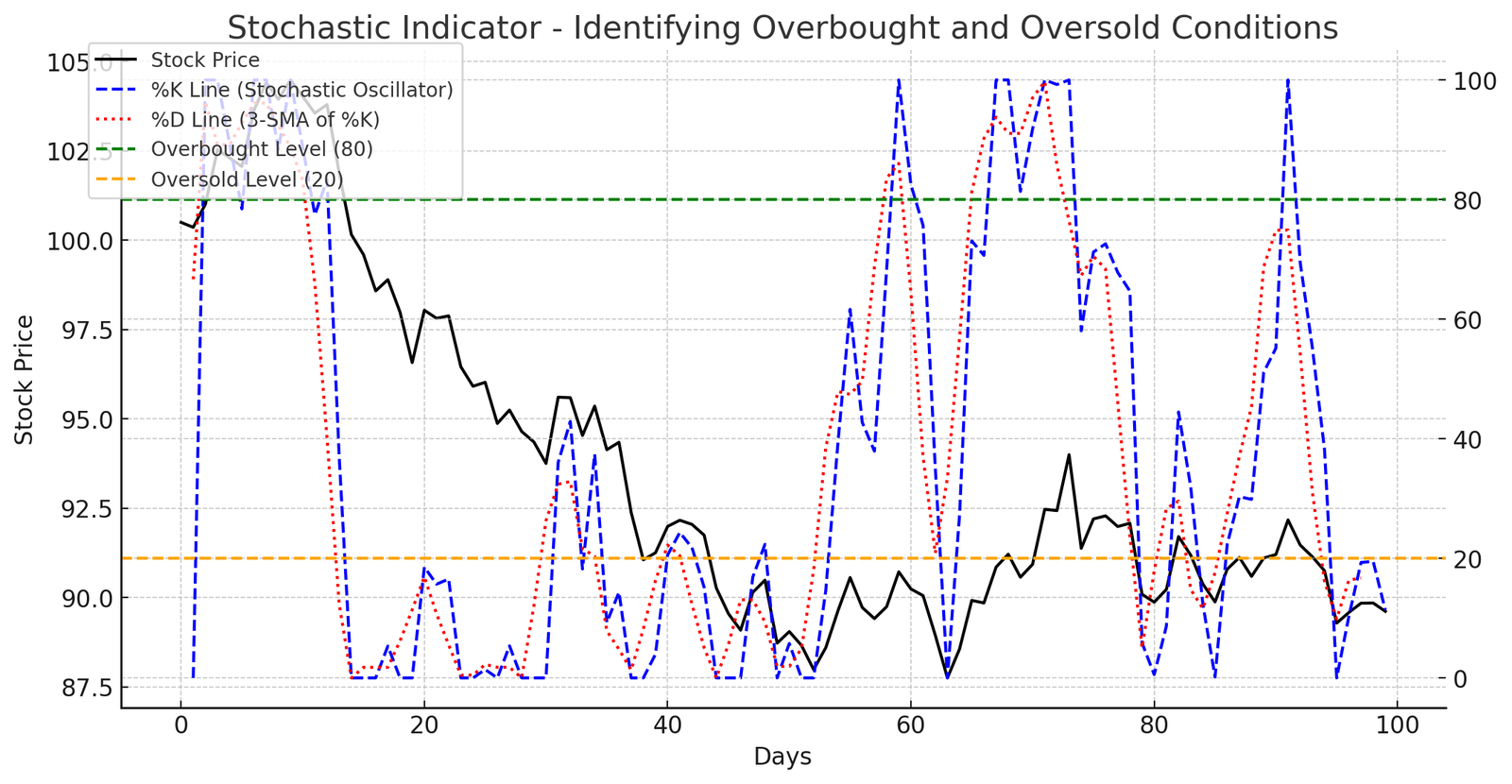 Stochastic Indicator: Identifying Market Momentum and Reversals ...